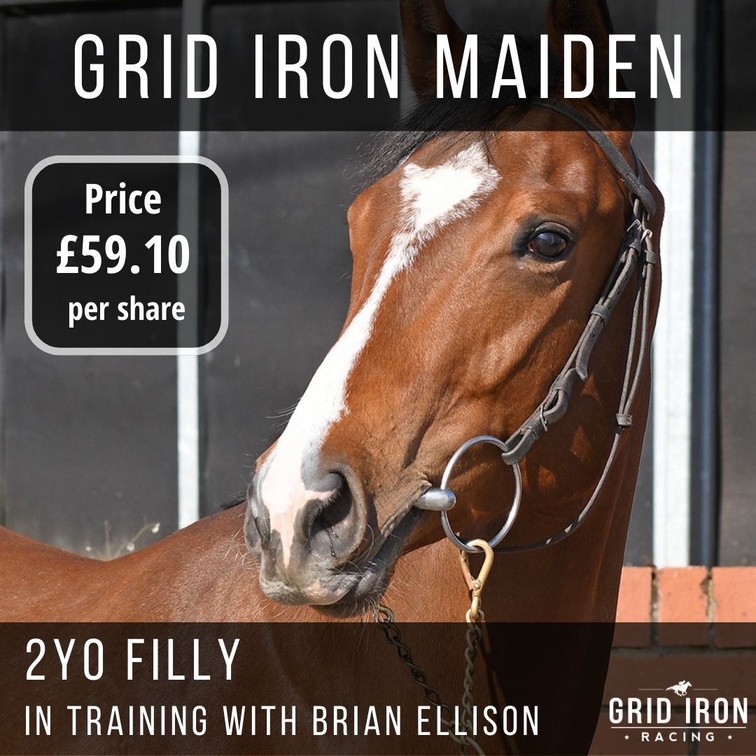 Grid Iron Maiden Shares - Grid Iron Racing
